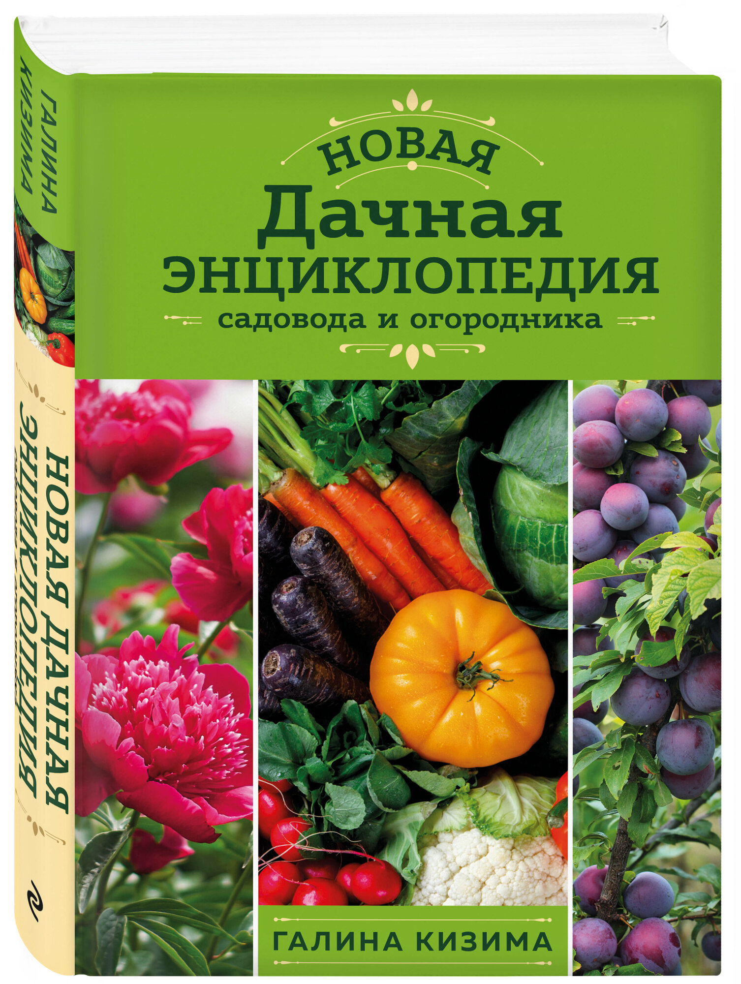 Кизима Г. А. Новая дачная энциклопедия садовода и огородника (новое оформление)