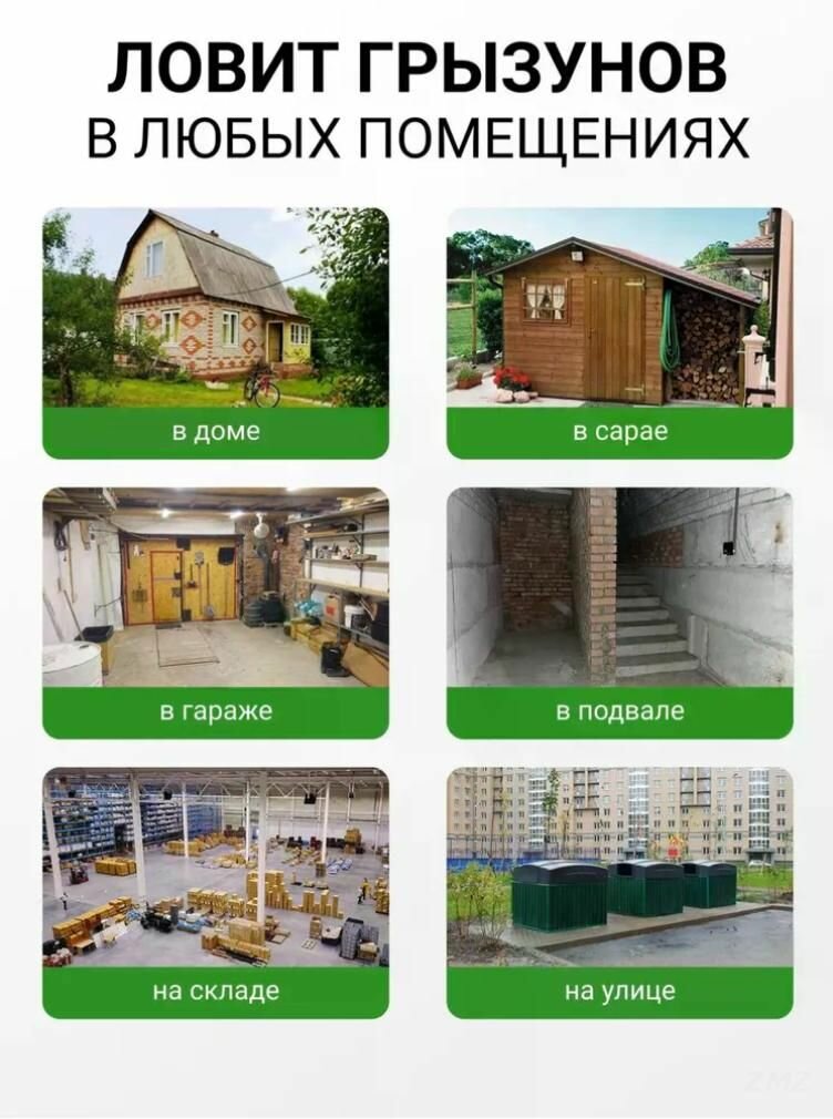 Мышеловка, крысоловка — фото 1