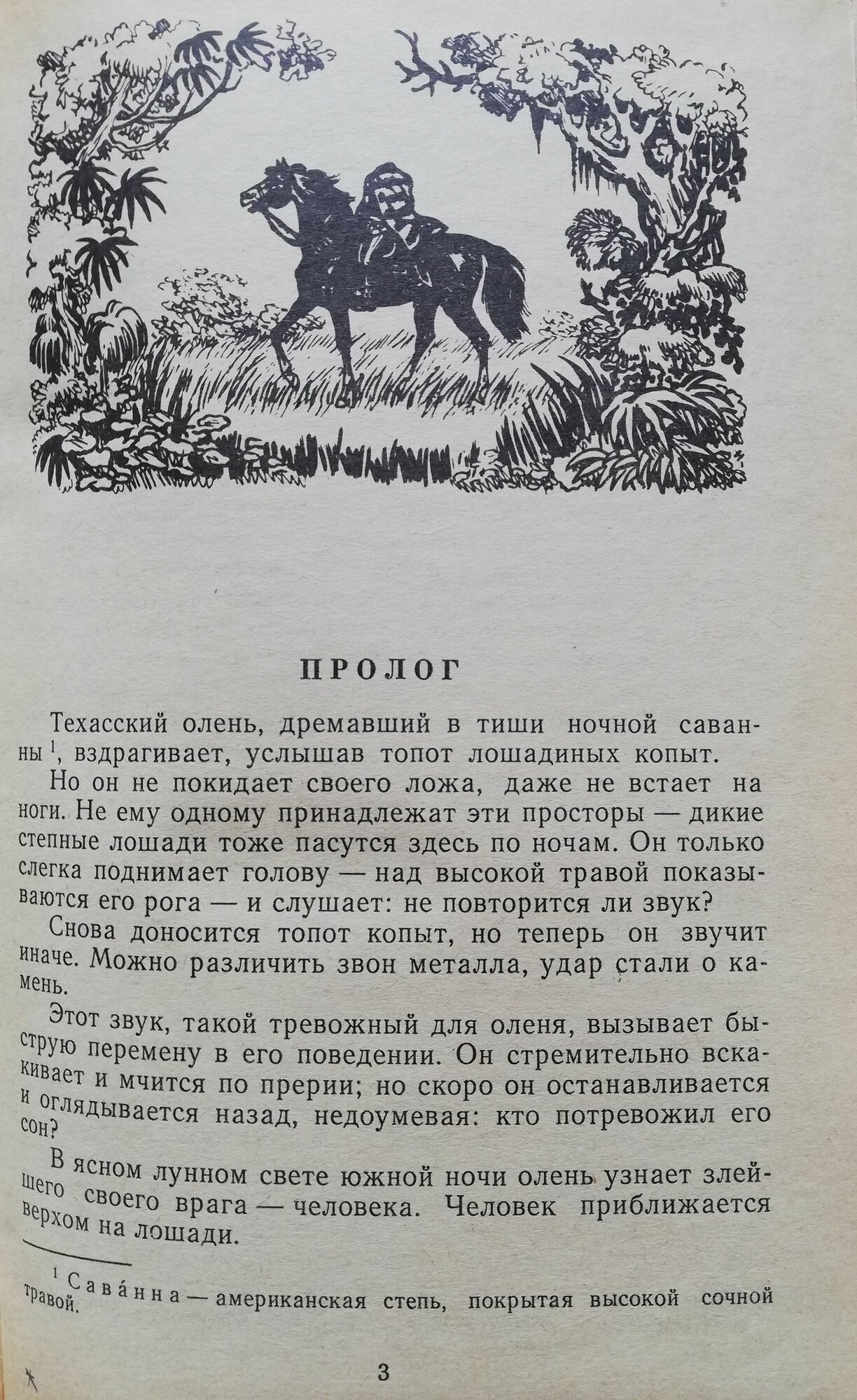 Всадник без головы — фото 1