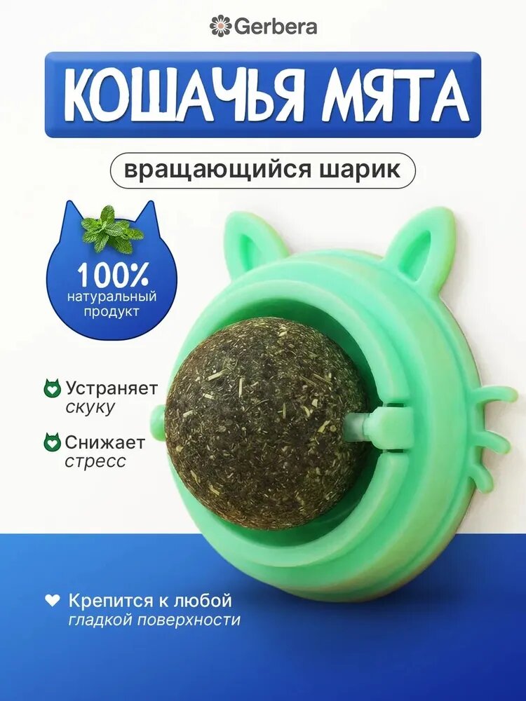 Кошачья мята / Мята для кошки