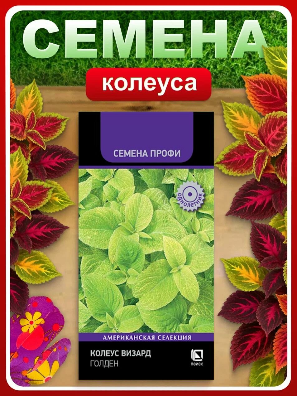 Семена Колеус Визард "Голден", 10 шт, однолетние цветы, цветы для дачи, сада и огорода, на рассаду, в открытый грунт, в теплицу, в парник, на подоконнике, в домашних условиях