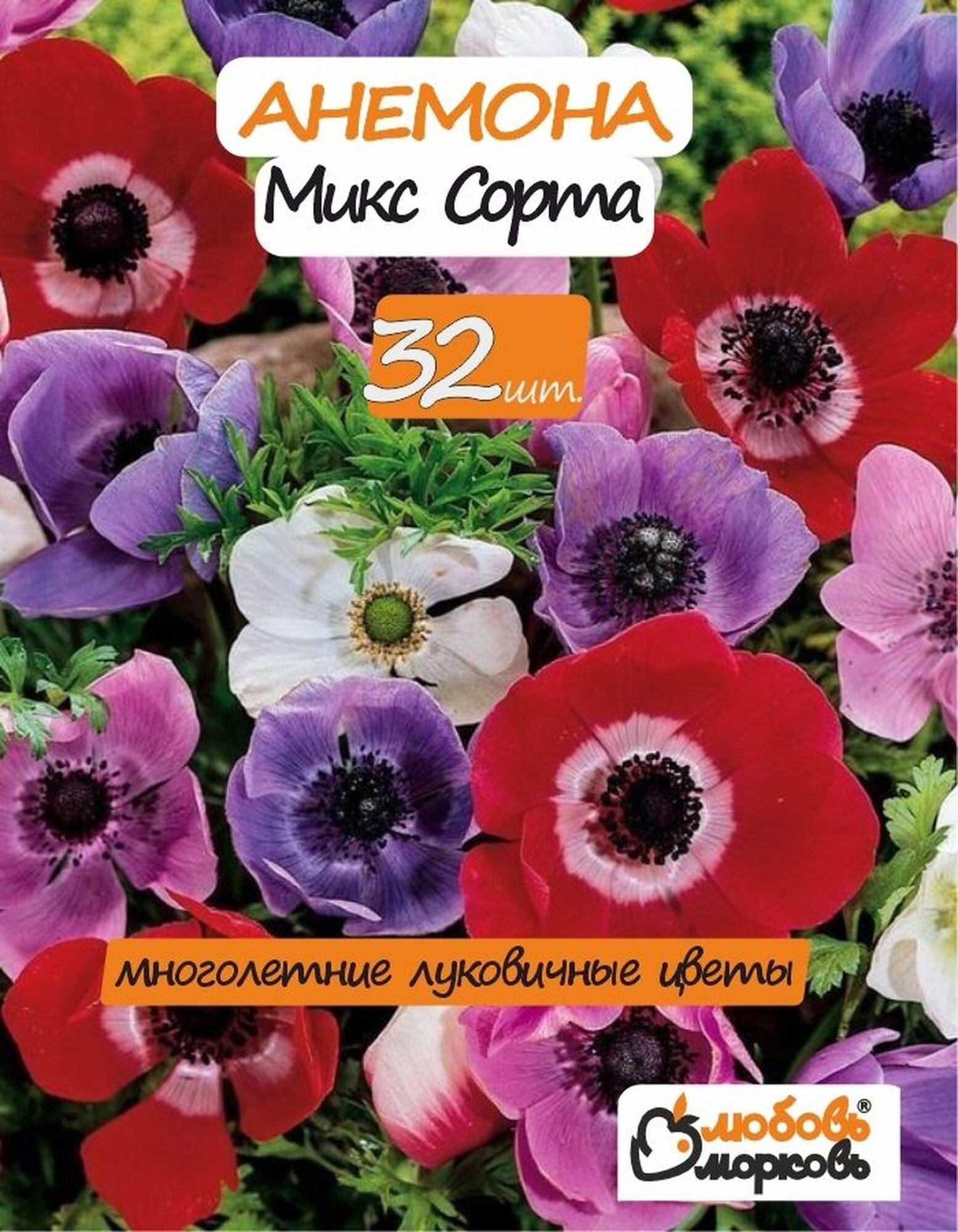 Луковицы цветов Анемоны, микс сортов, разноцветные, 32 шт в упаковке