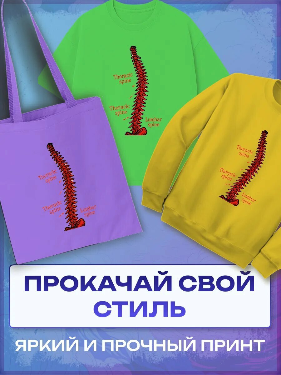Термонаклейка thoracic spine — фото 1