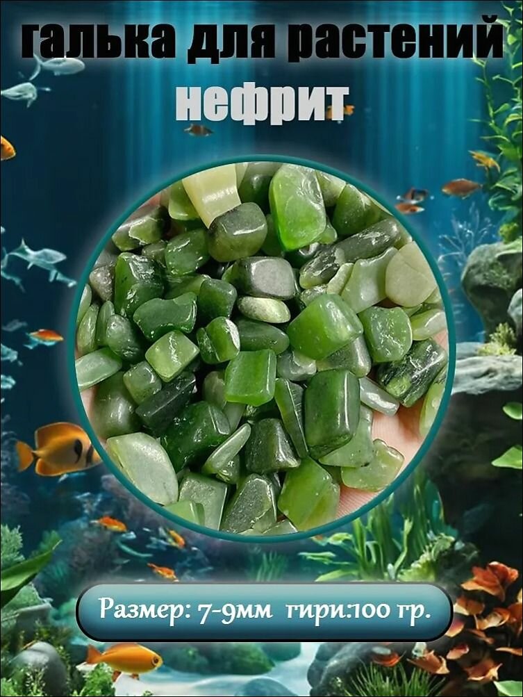 Нефрит Грунт для аквариума и растений , кактуса и суккулентов , Каспийская галька 7-9 мм, 100 гр. для аквариума для кактусов для суккулентов