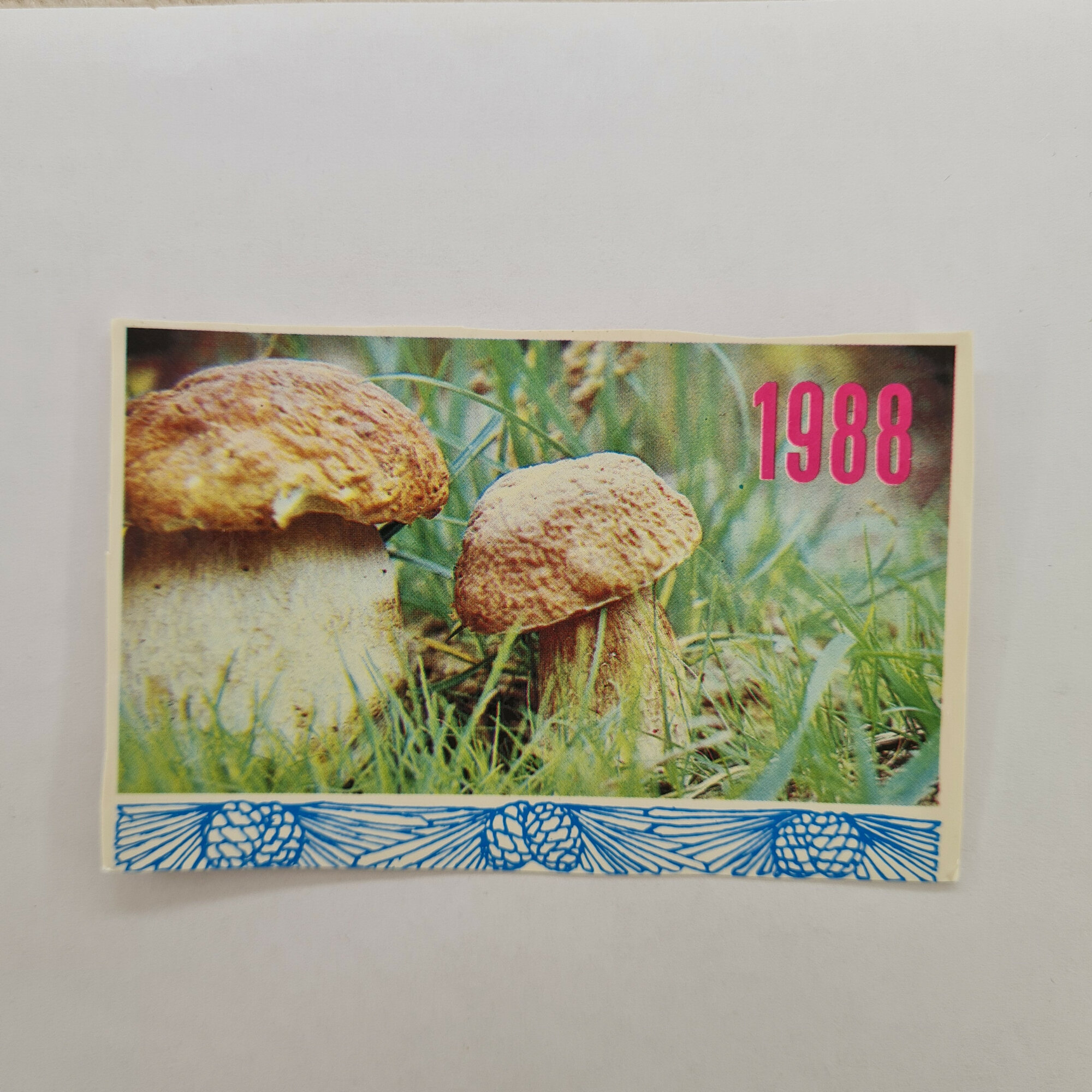 Карманный календарик СССР 1988. Грибы в траве, природа. Советский календарь редакции Радянська Украї
