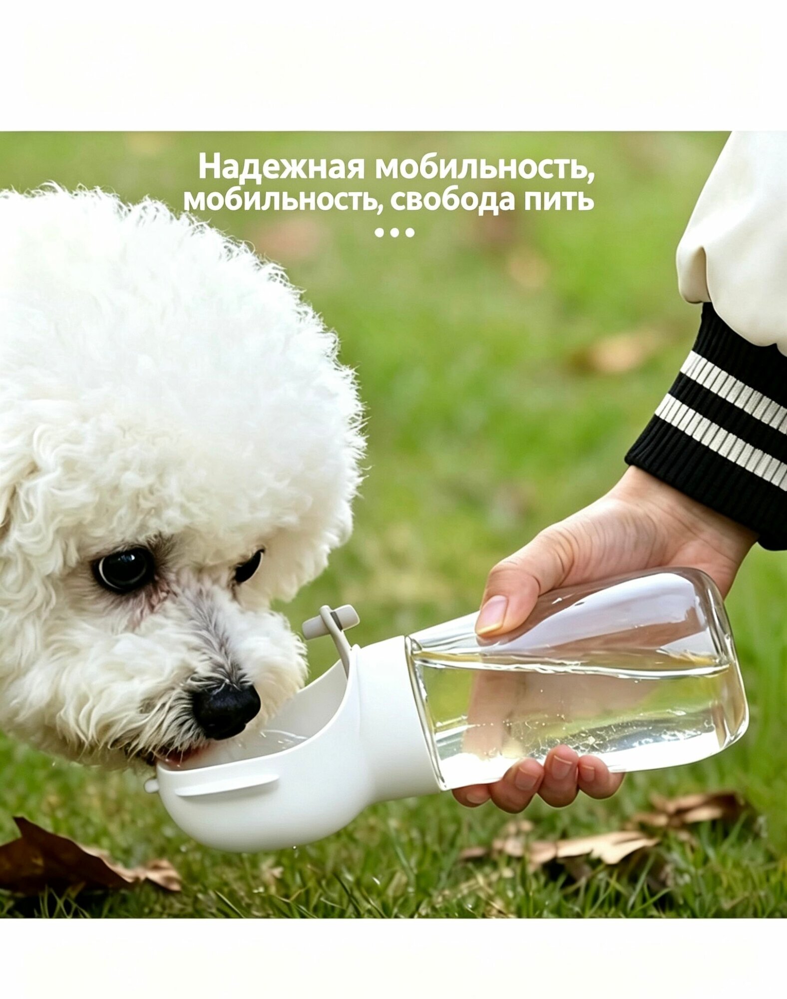 Чашка для воды для домашних животных