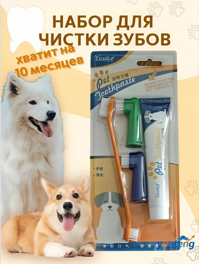 Зубная паста и щетка для собак со вкусом говядины