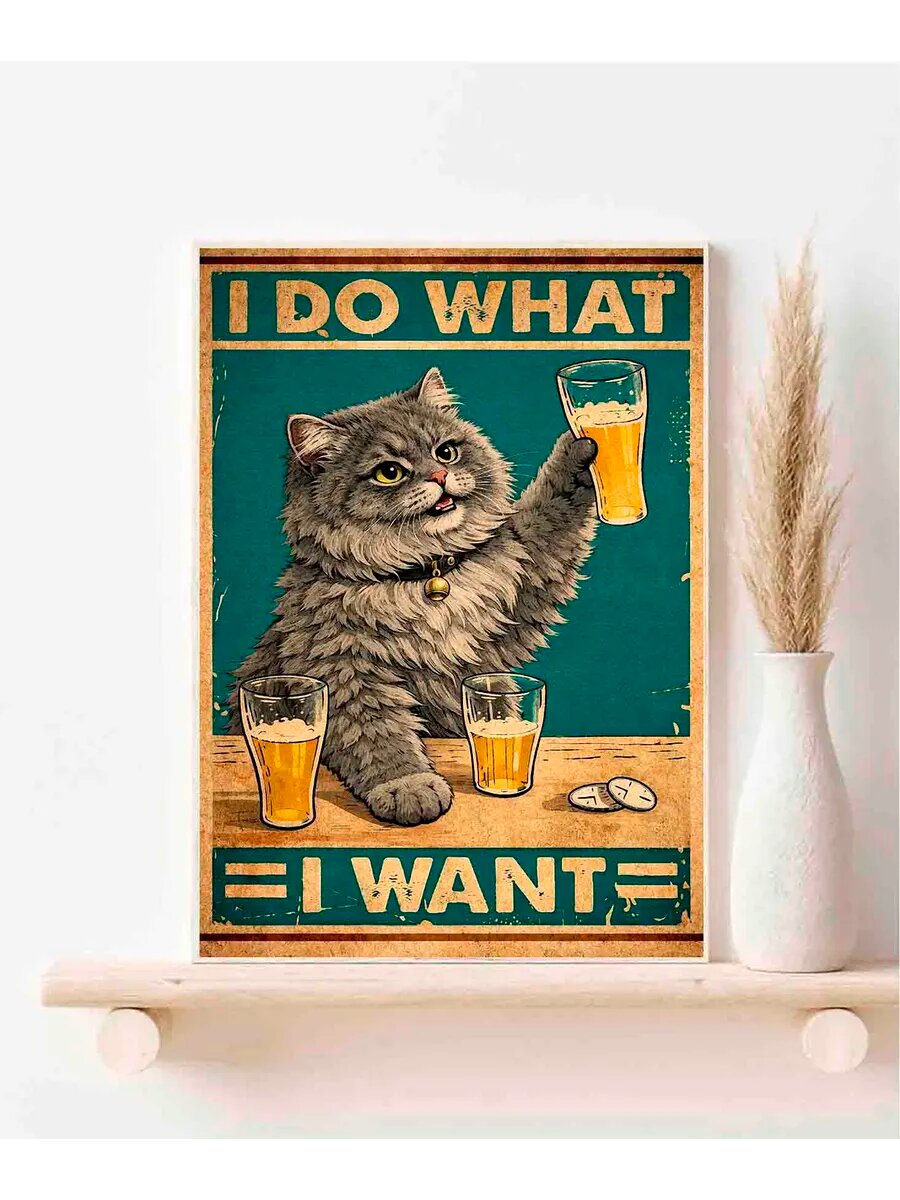 Британская длинношёрстная кошка, I Do What i Want N2, Плака