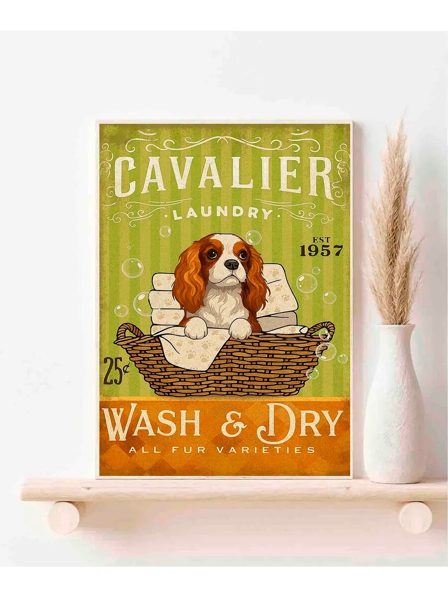 Кавалер Кинг Чарльз спаниель, Wash & Dry, Плакат 30x42см