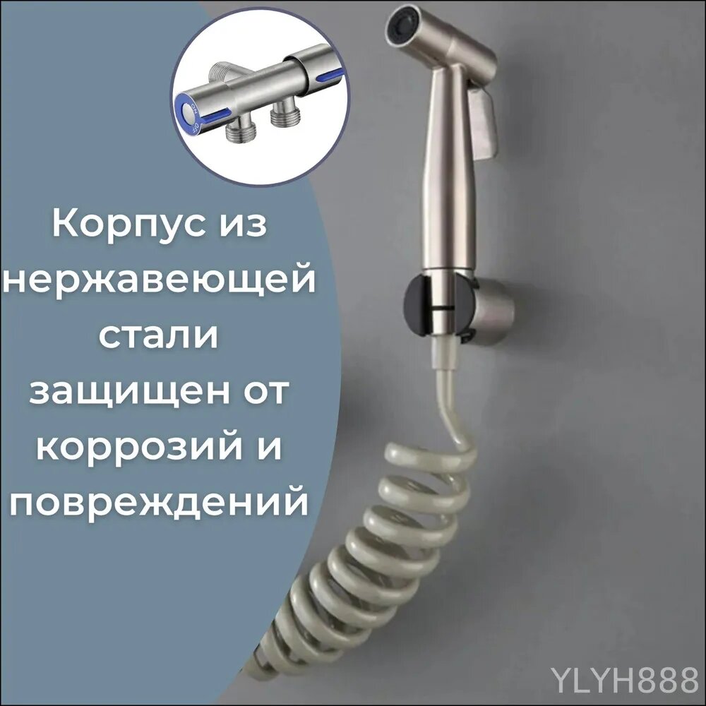 Гигиенический душ для унитаза на холодную воду / биде для унитаза / Lemen / нержавеющая сталь / сатиновый (серый)