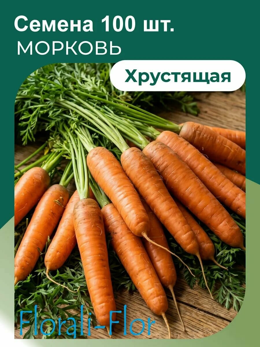 Морковь Семена