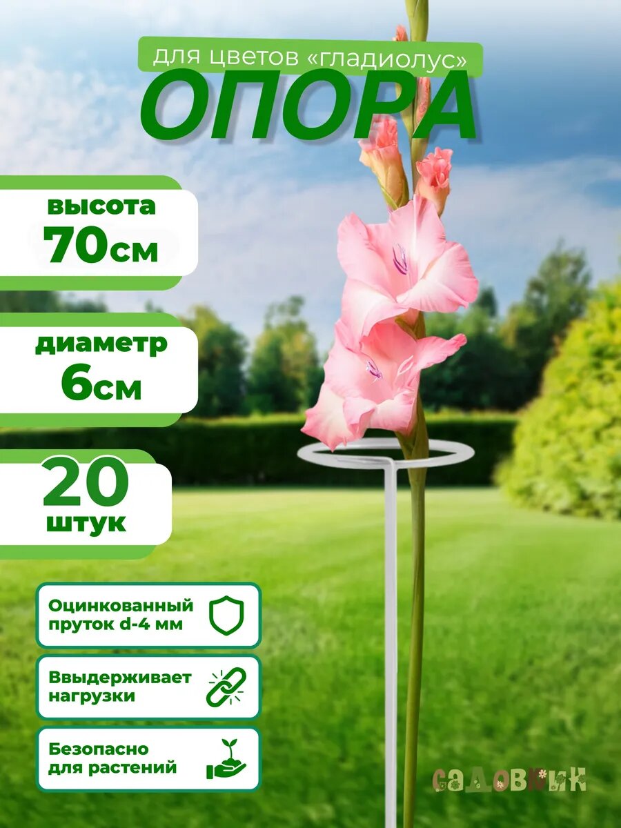 Опора для Гладиолусов оцинкованная 4мм d-6см, h-0,7м (20 шт)