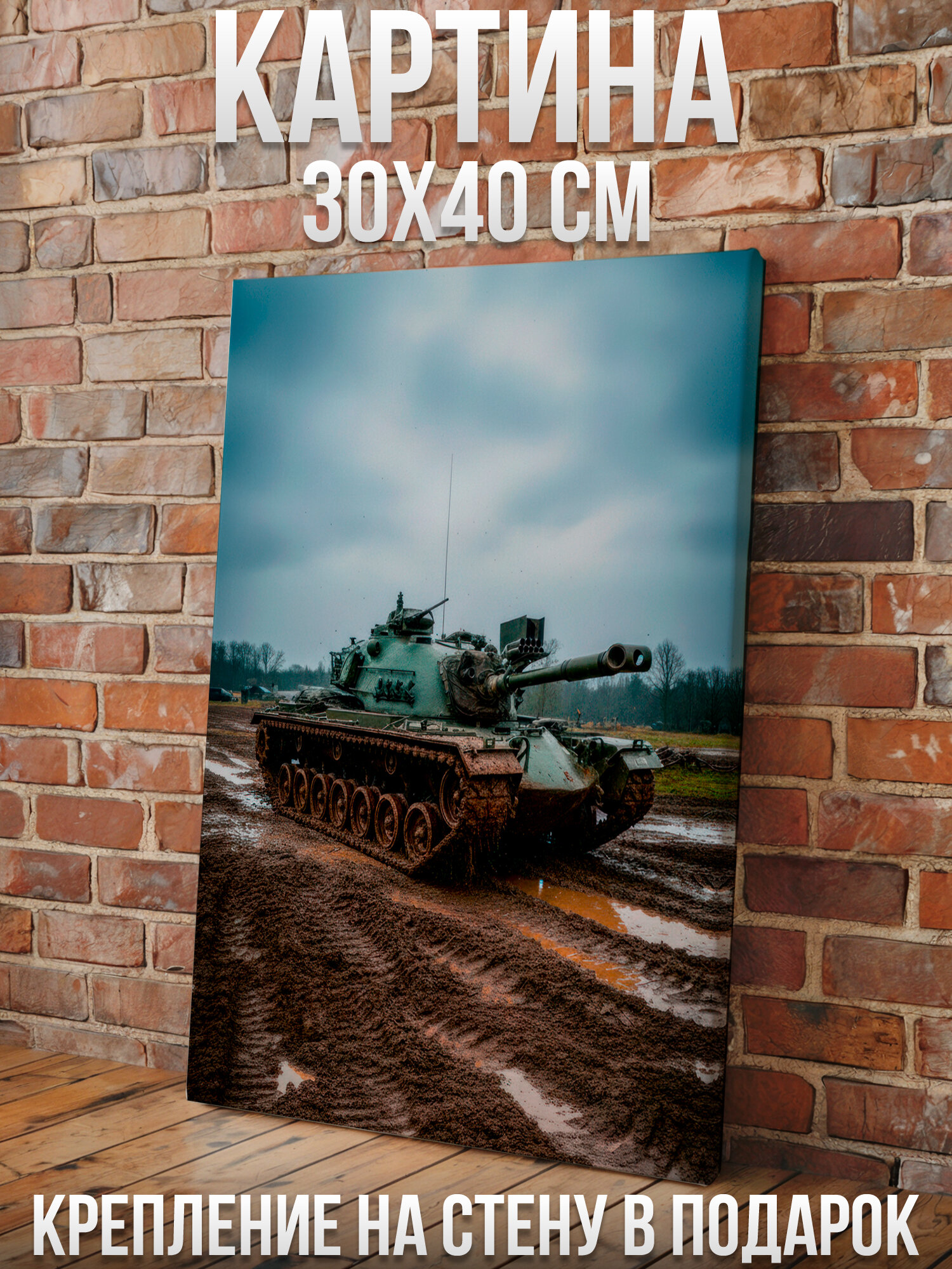 Большая картина интерьерная постер на холсте на стену 40 на 30 см постер M48A2 C