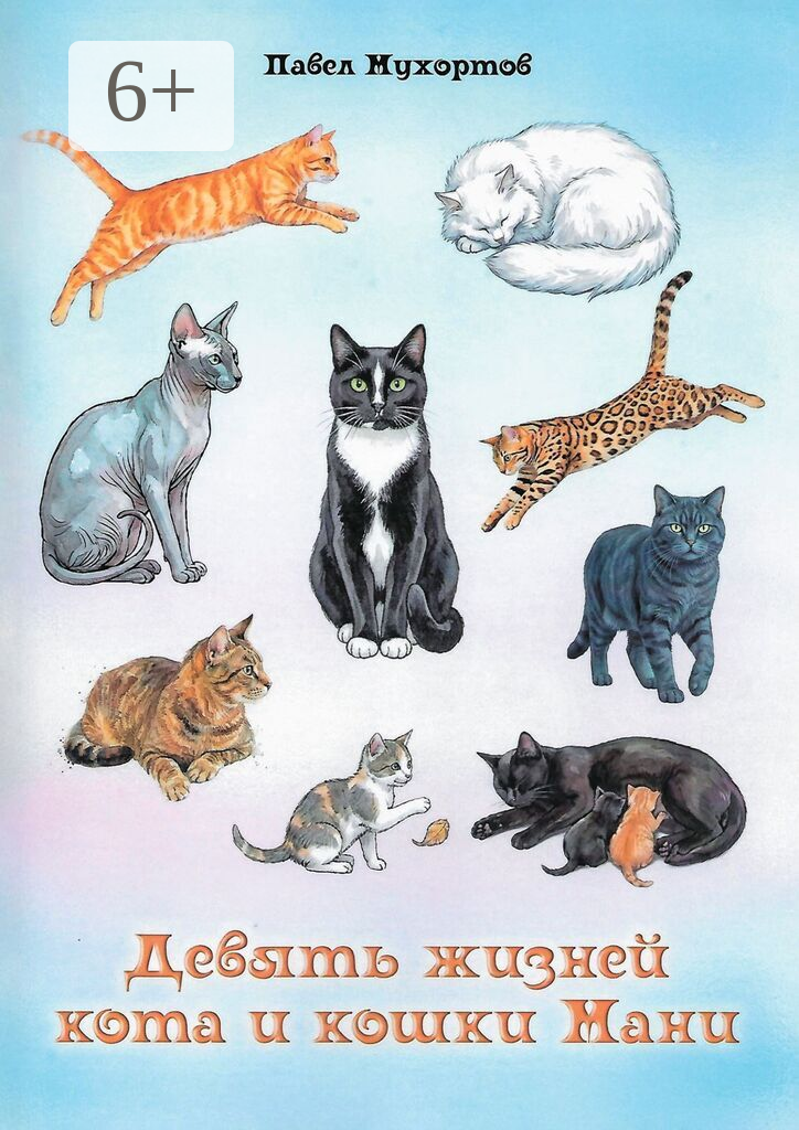 Девять жизней кота и кошки Мани