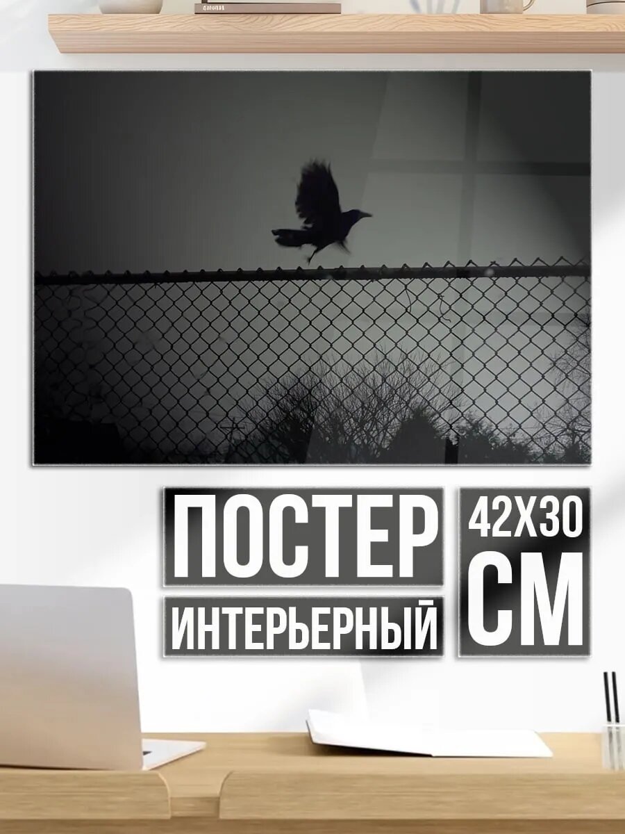 Плакат постер Ворон над забором