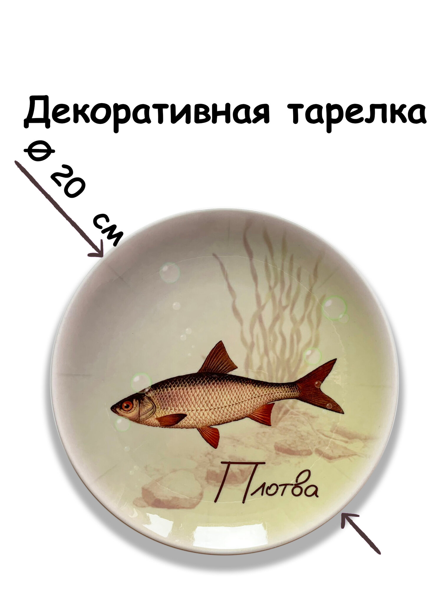 Декоративная настенная тарелка с изображением плотвы