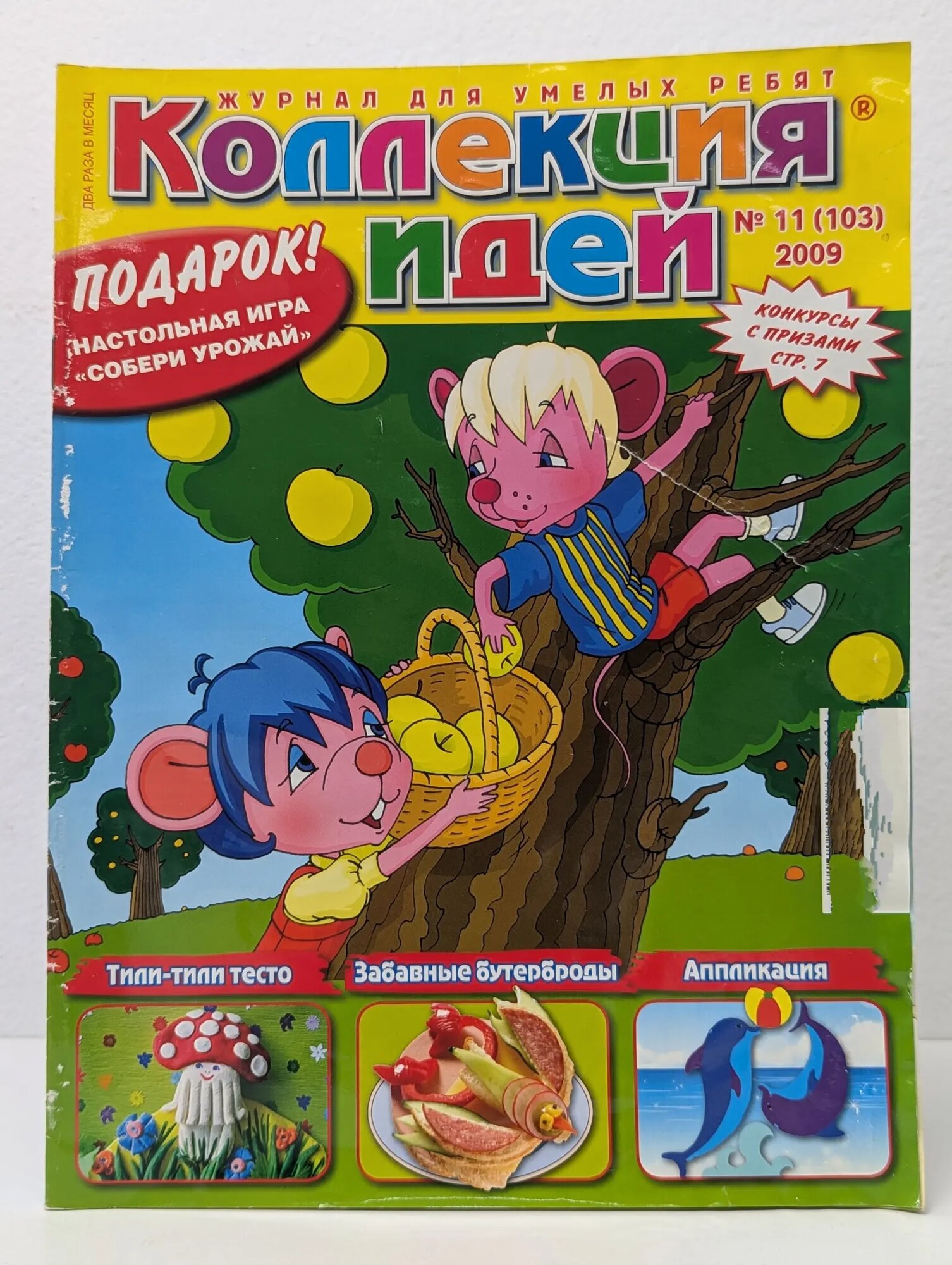 Коллекция идей. Выпуск № 11/2009 Сборник 2009