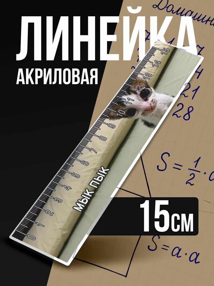 Линейка 15 см Мем Котик Мык пык