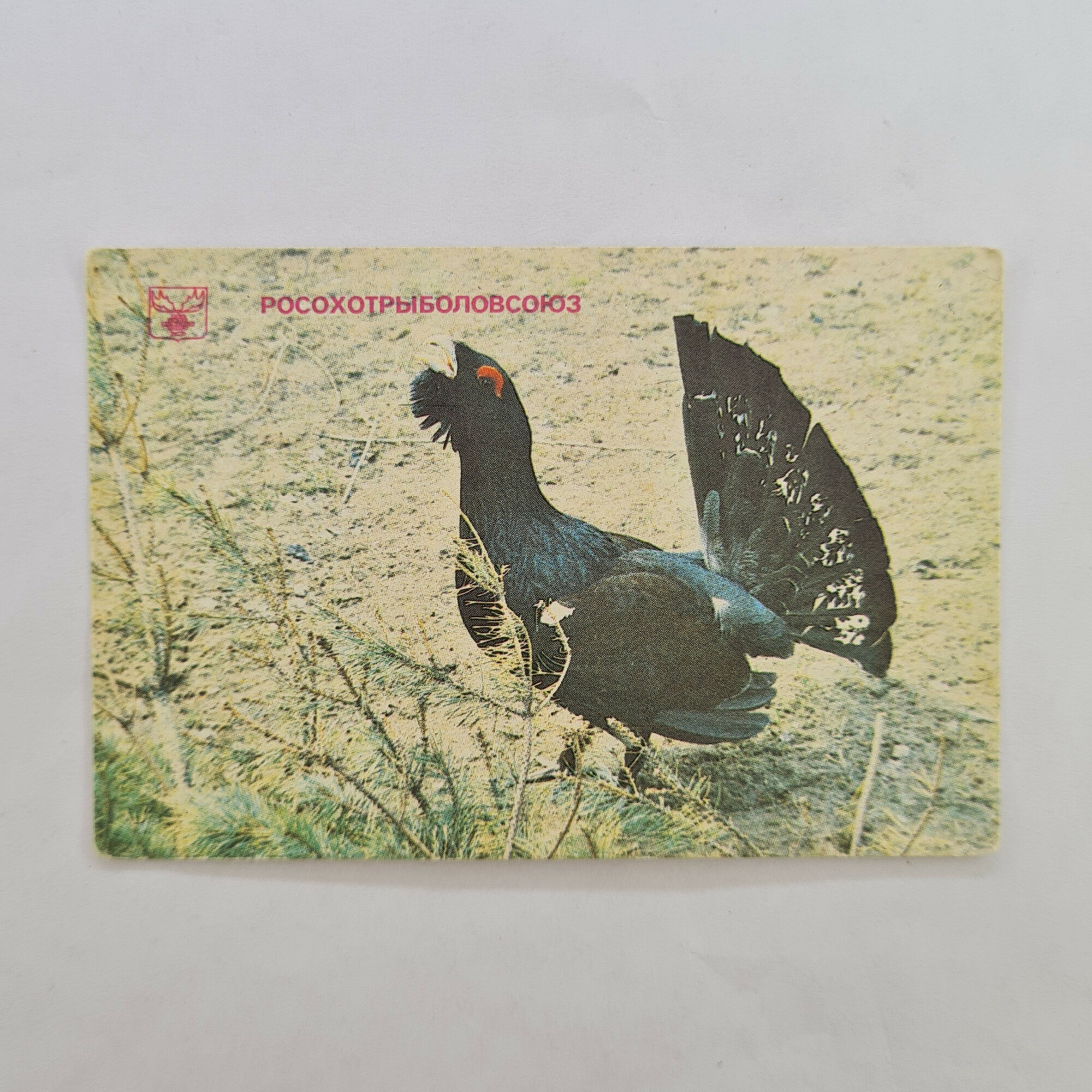Карманный календарик СССР 1989. Росохотрыболовсоюз, птица глухарь, фауна. Советский календарь