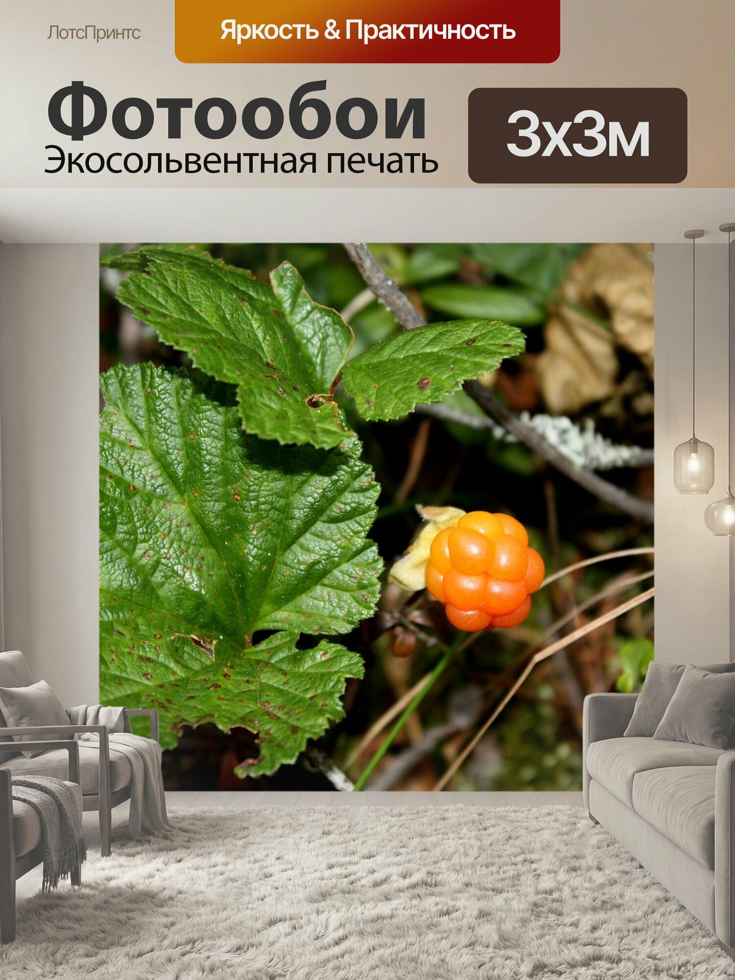 Фотообои "Морошка, польский, болото" 300x300 см. экосольвентная печать