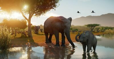 Planet Zoo 2 PC Steam Аккаунт • Активация Steam • регион Весь мир