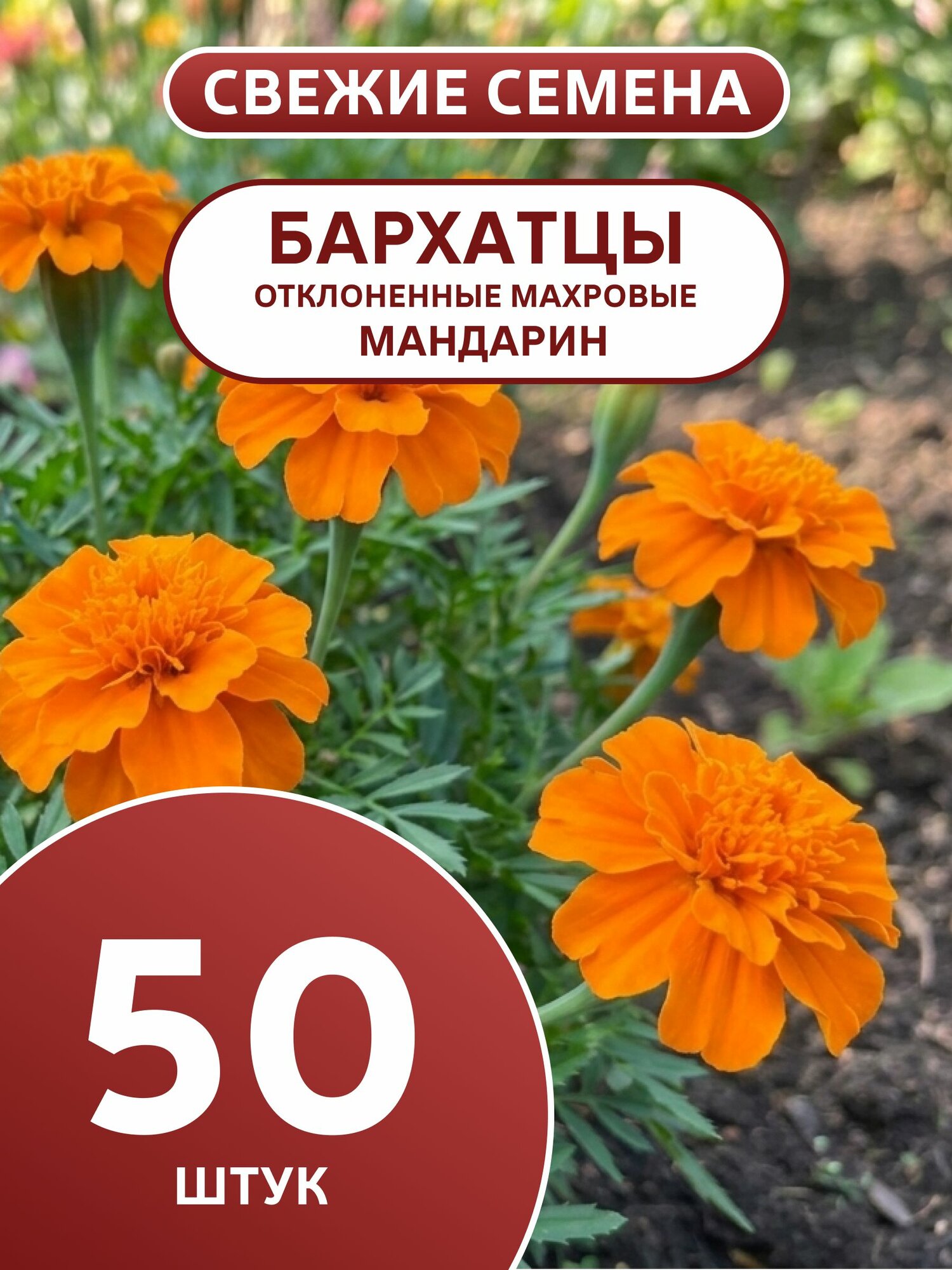Бархатцы махровые семена для выращивания 50 шт