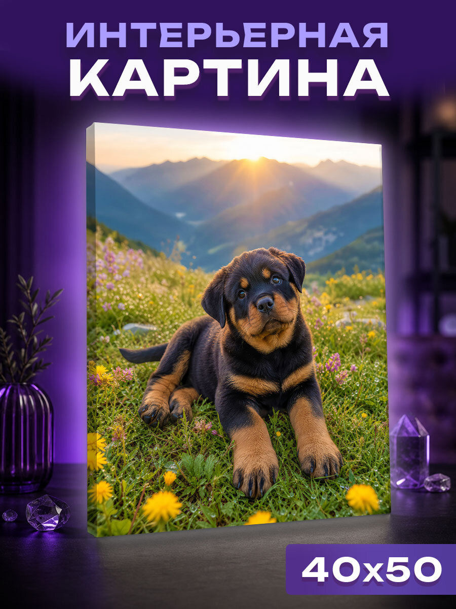 Интерьерная картина Щенок ротвейлера в альпийском лугу