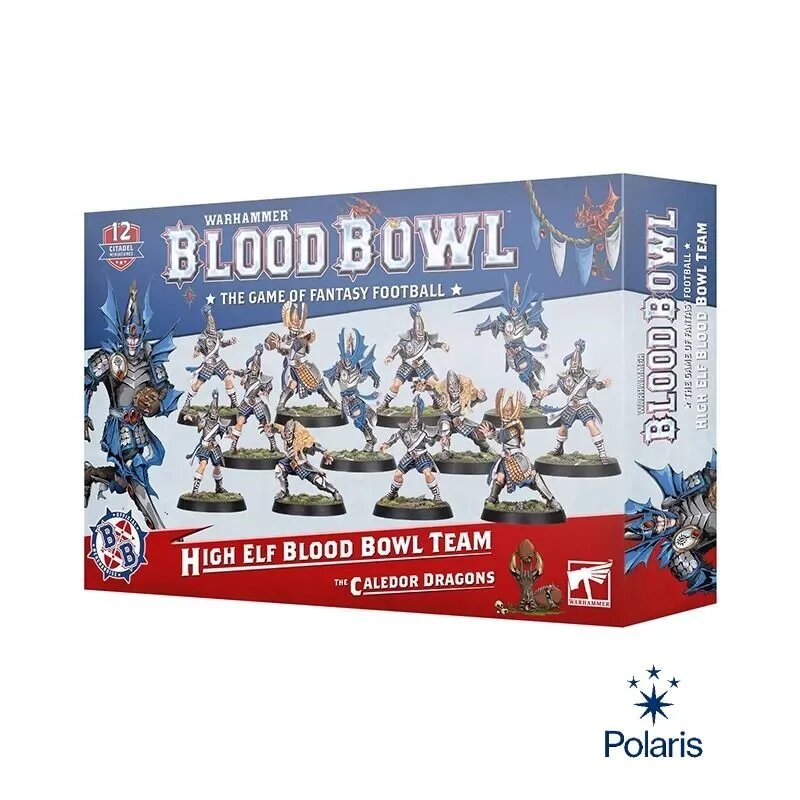 Warhammer Blood Bowl High Elf Team The Caledor Dragons (Английская версия)