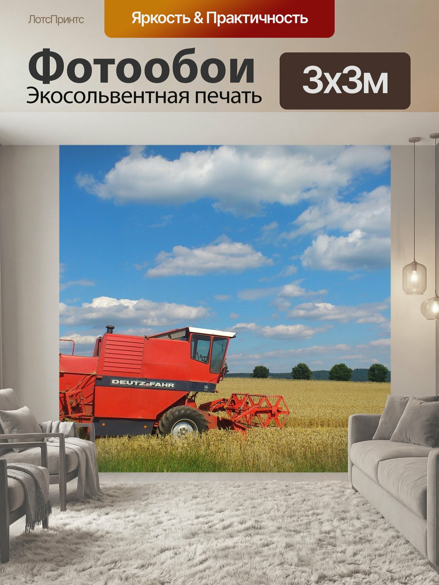 Фотообои "Пшеница, пшеничное поле, колосья пшеницы" 300x300 см. экосольвентная печать