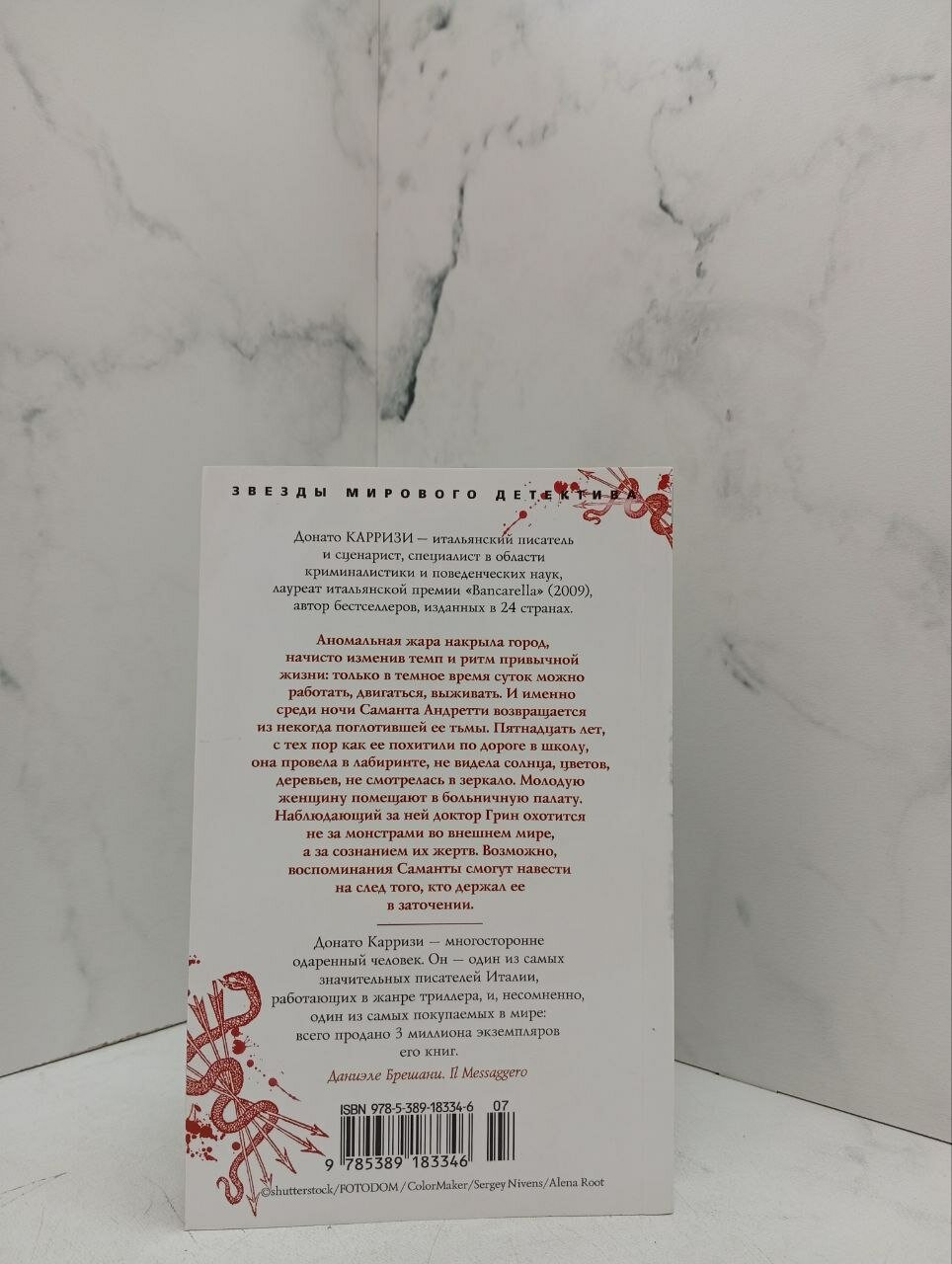 Девушка в лабиринте — фото 1