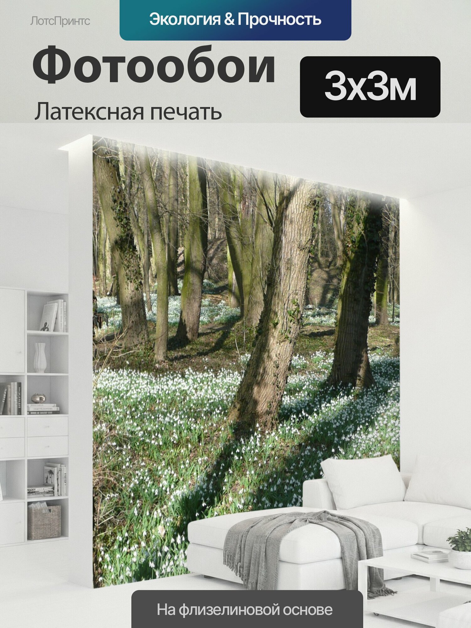 Фотообои моющиеся ударопрочные "Лес, подснежник, весна" 300x300 см. латексная печать