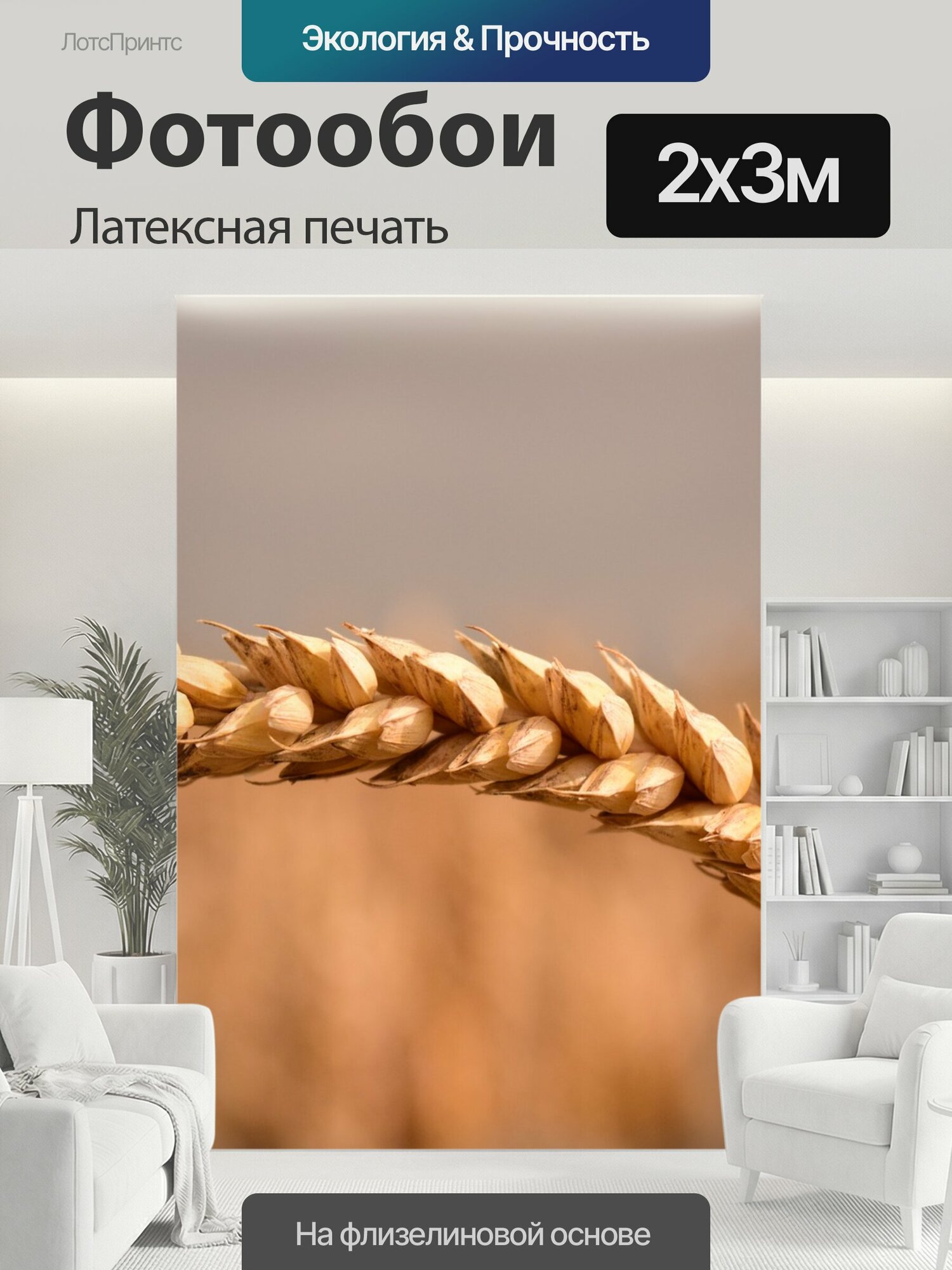 Фотообои моющиеся ударопрочные "Пшеница, пшеничный колос, зерно" 200x300 см. латексная печать