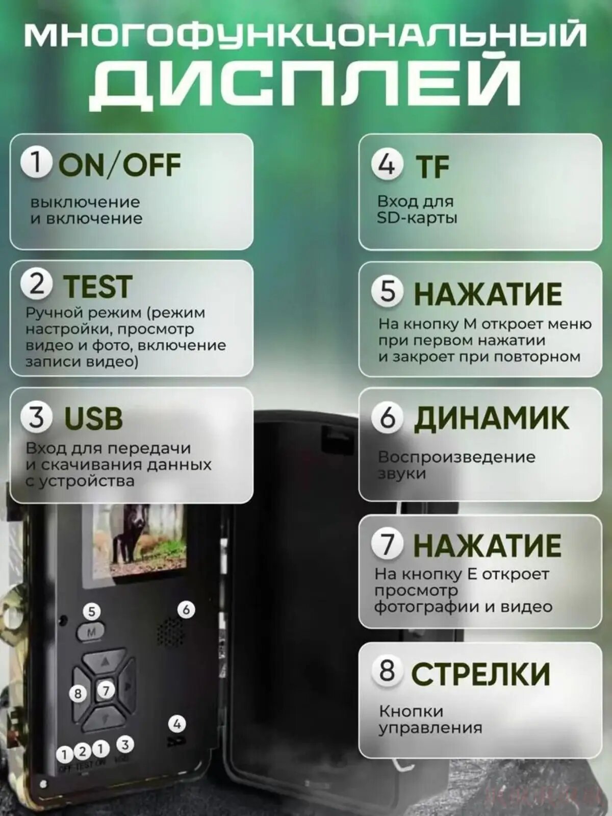Фотоловушка — фото 1