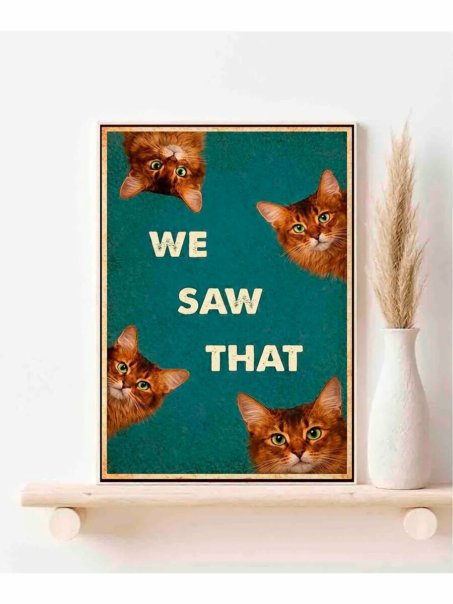 Сомалийская кошка, We Saw That, Плакат 30x42см