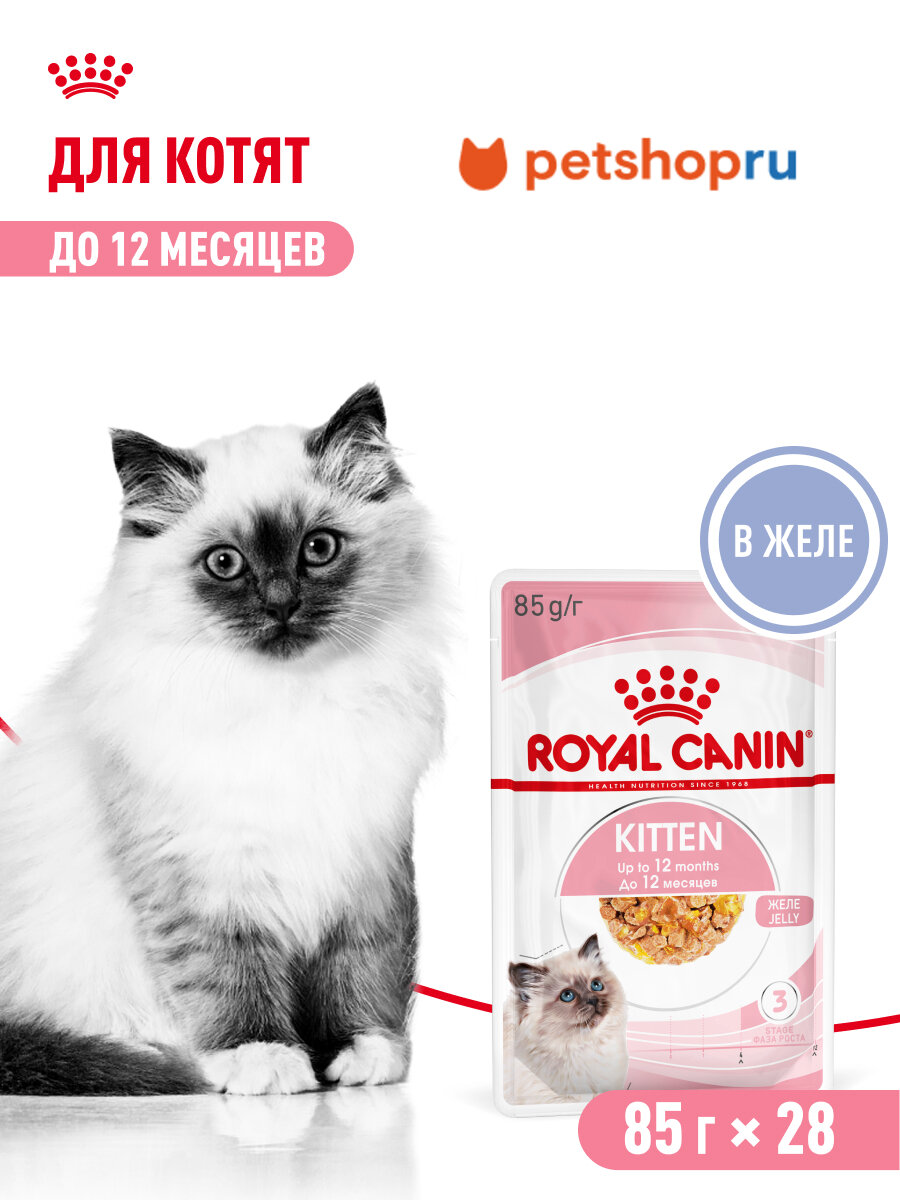 Royal Canin Для котят в период второй фазы роста в возрасте до 12 месяцев, кусочки в желе, Kitten Jelly