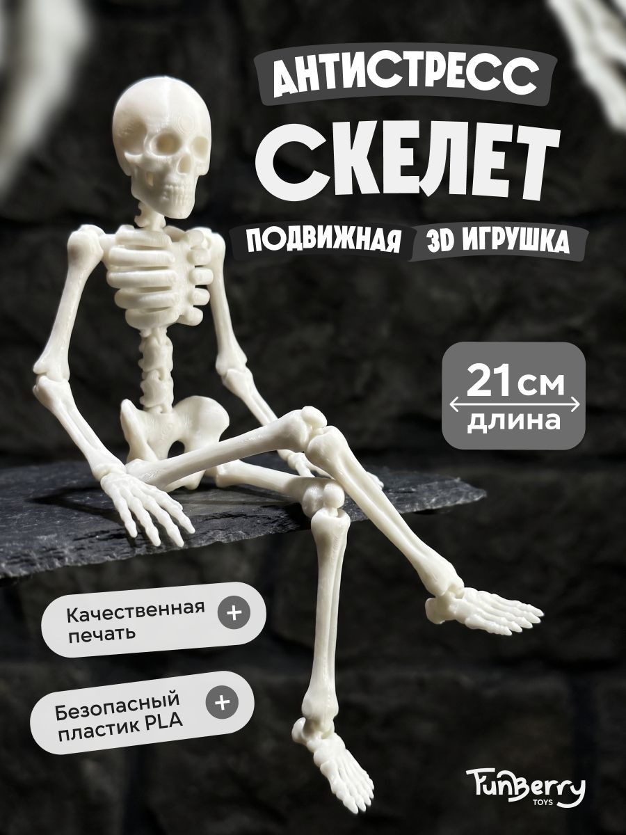 Подвижная 3D игрушка для детей и взрослых Скелет реалистик