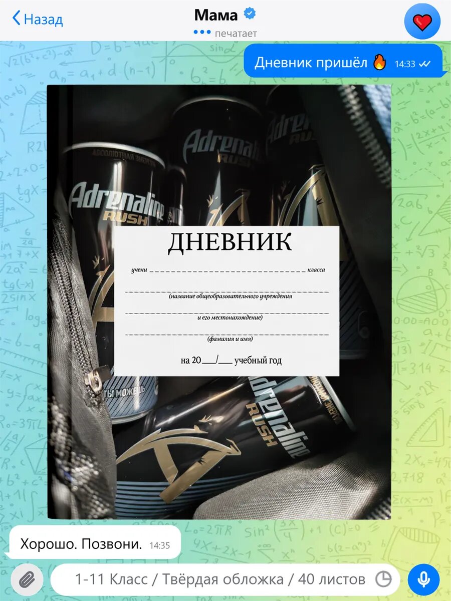 Школьный дневник с принтом y2k pinterest