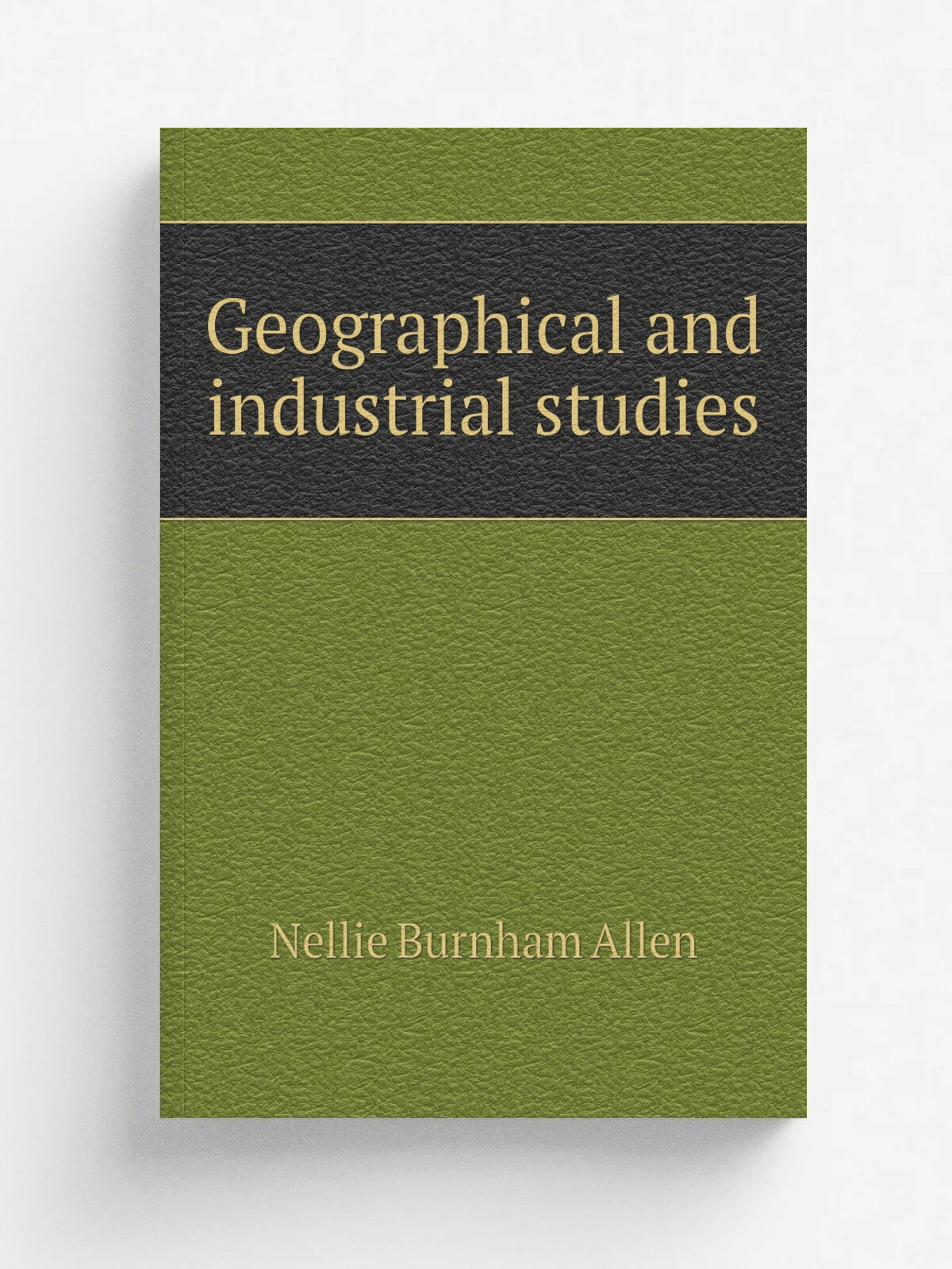 Geographical and industrial studies | Nellie Burnham Allen | Boston, New York . etc. : Ginn and company | Репринт