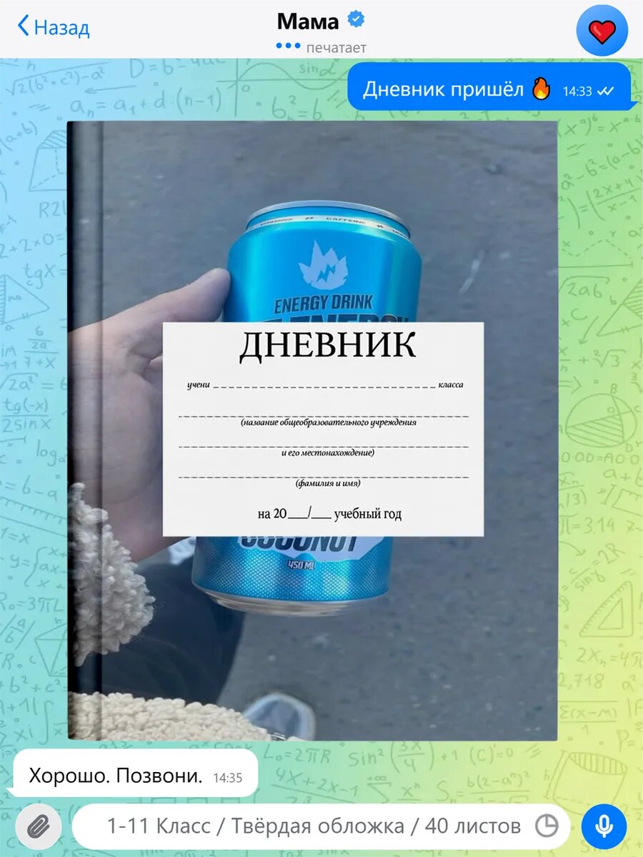 Школьный дневник с принтом Роблокс