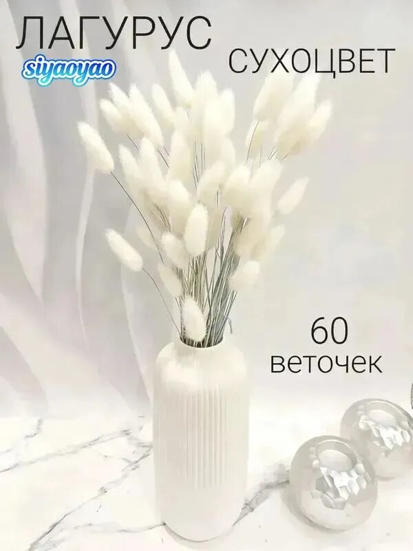 Сухоцветы Лагурус 55 см 60 шт белый для интерьера для декора для дома для офиса для букета
