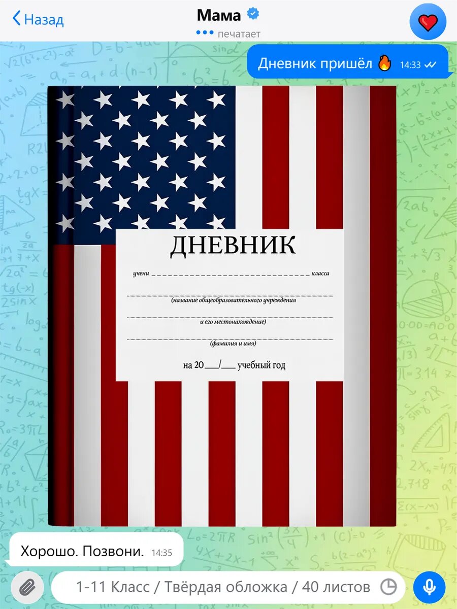 Школьный дневник с принтом Флаг США