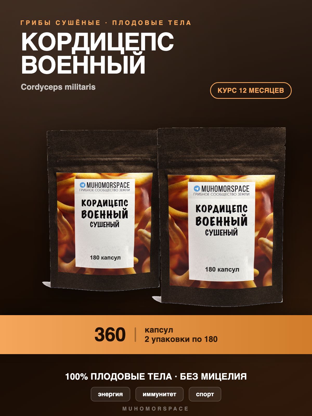 Кордицепс военный сушёный 360 капсул курс 6 месяцев, плодовые тела MUHOMORSPACE