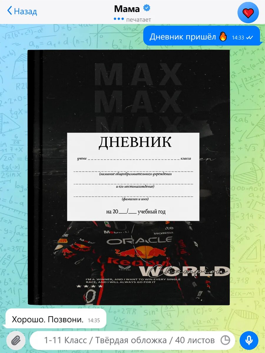 Школьный дневник с принтом Роблокс