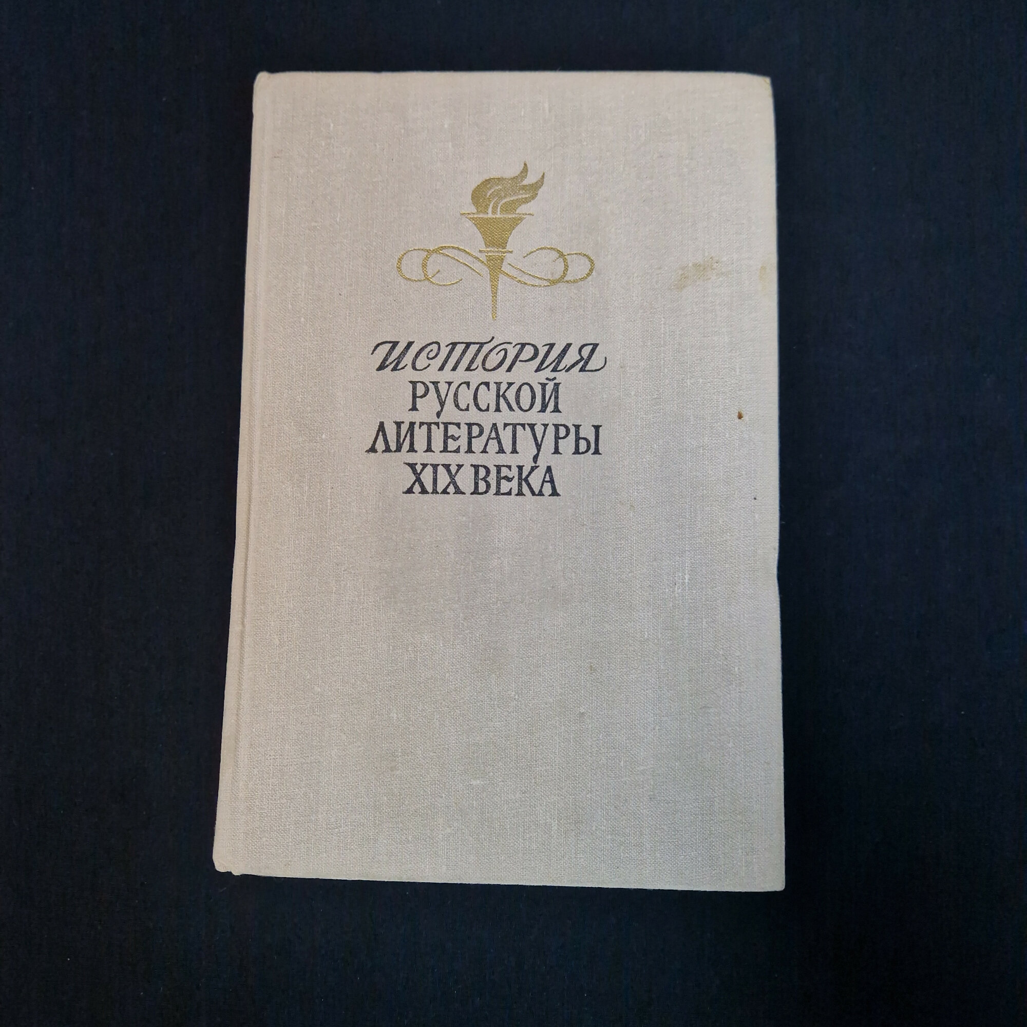 История русской литературы XIX века. Книга СССР, учебник по русской литературе