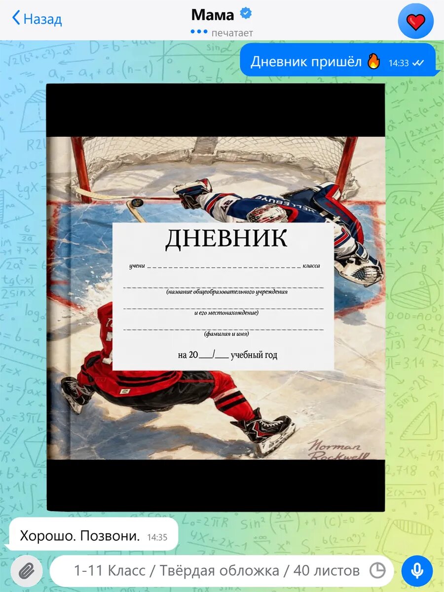 Школьный дневник с принтом Хоккей