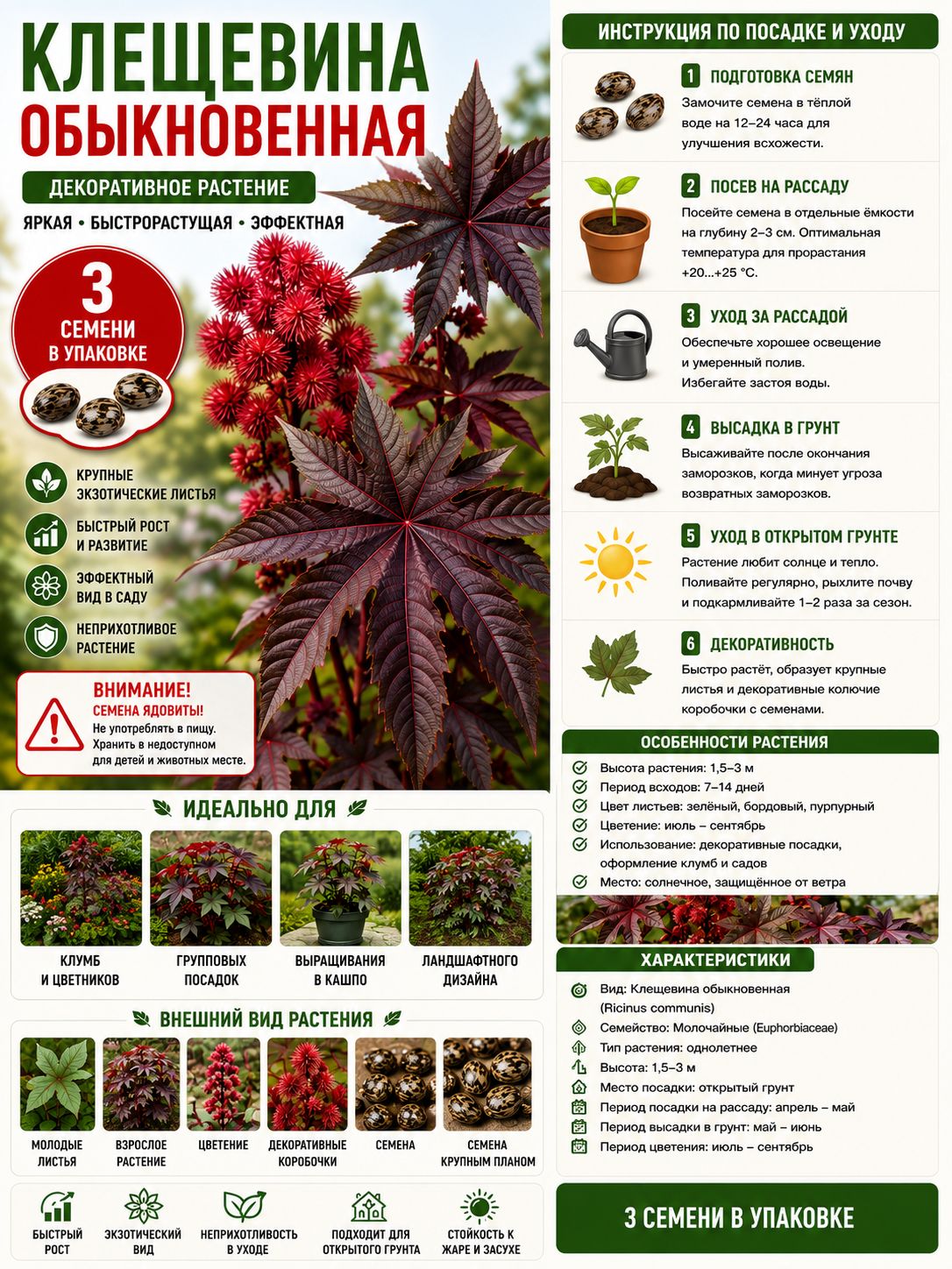 Клещевина обыкновенная семена 3 шт, Ricinus communis, декоративное растение для сада и дачи
