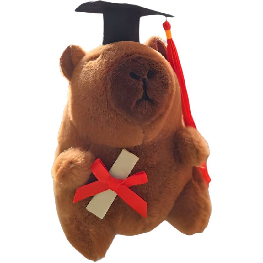 Плюшевая игрушка унисекс TIANYUXIAOZHEN Capybara Charm-Doctor's Cap, 12CM EU