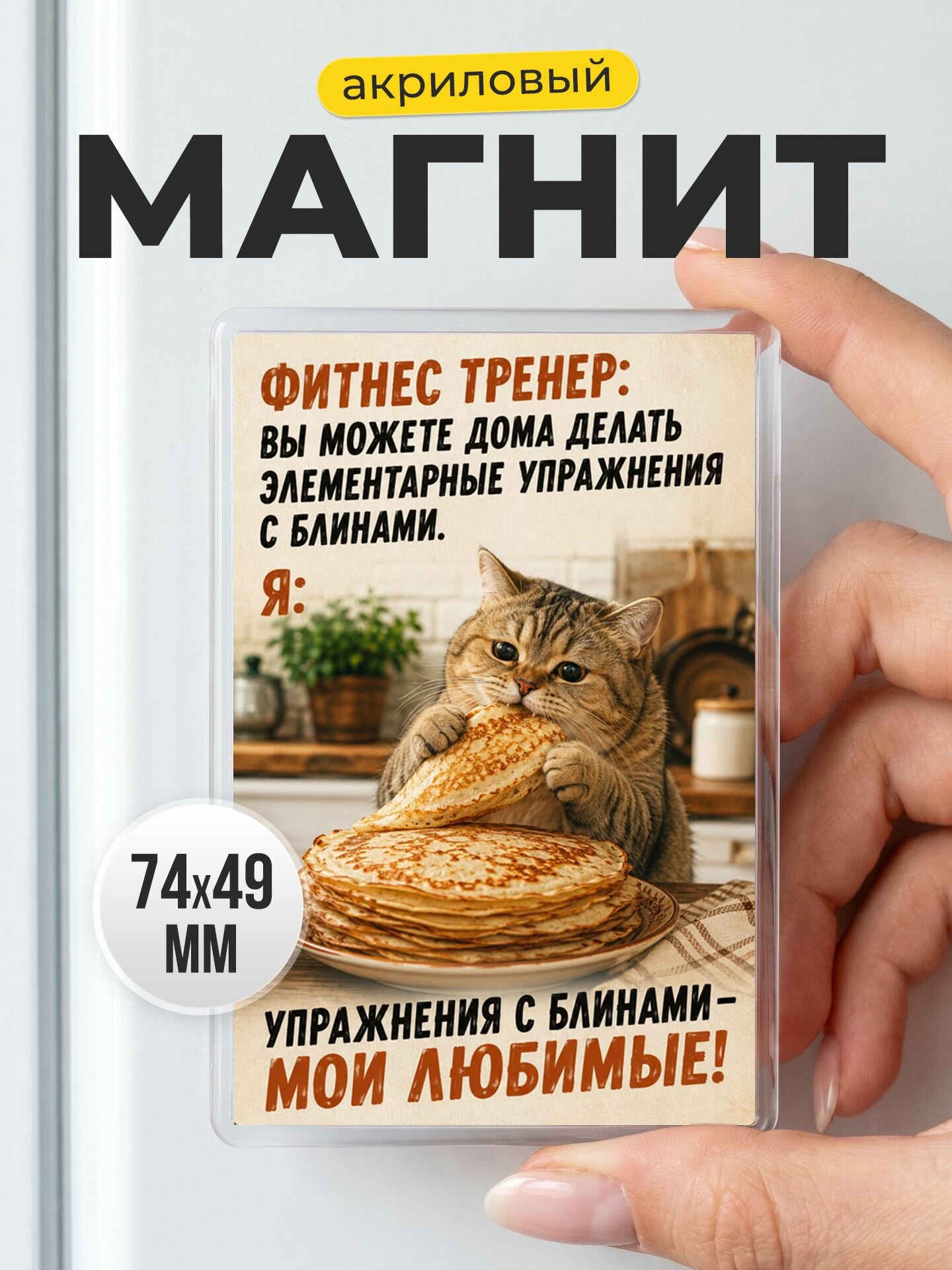 Магнит акриловый смешной с котом на холодильник