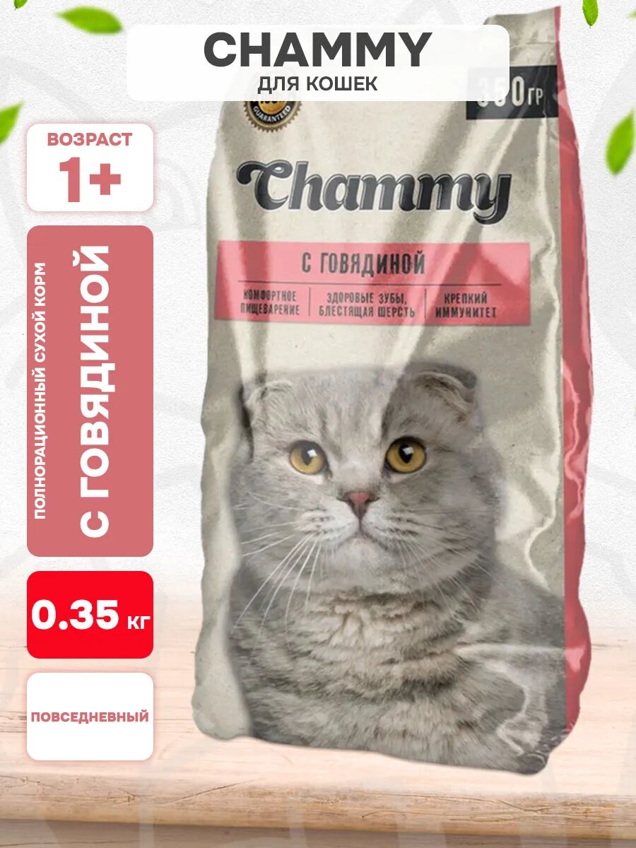 Корм сухой Chammy для взрослых кошек, говядина, 350 г