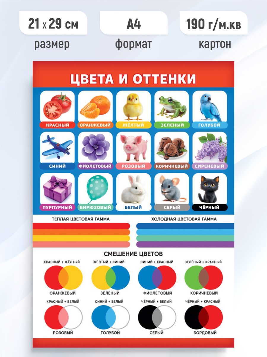 Детский обучающий плакат Цвета и оттенки А4